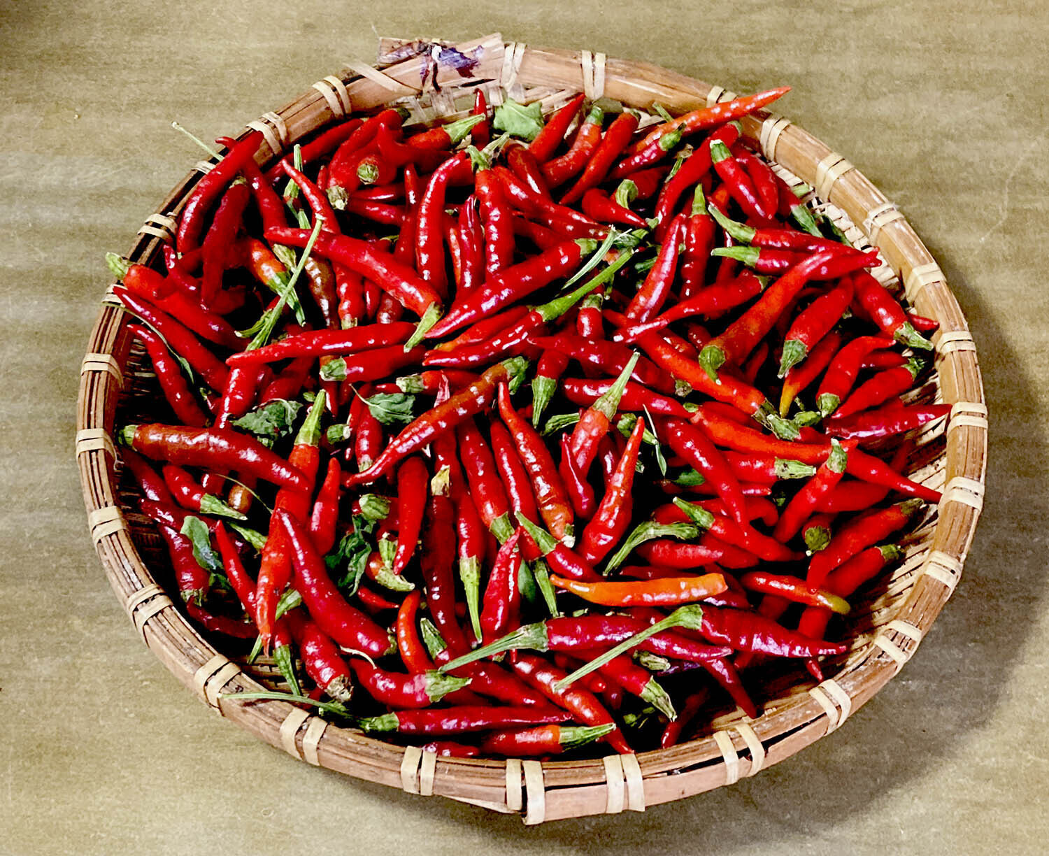 未だ穫れてます: ヒゲメバルの野菜作り